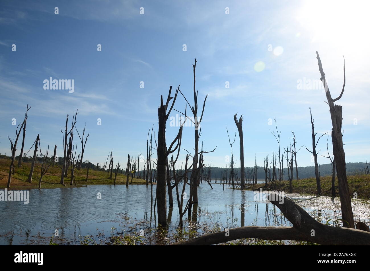 Tidal Flooding Global Warming High Resolution Stock Photography and ...