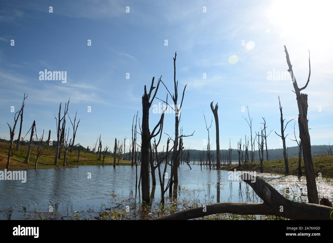 Flooding Global Warming High Resolution Stock Photography and Images ...