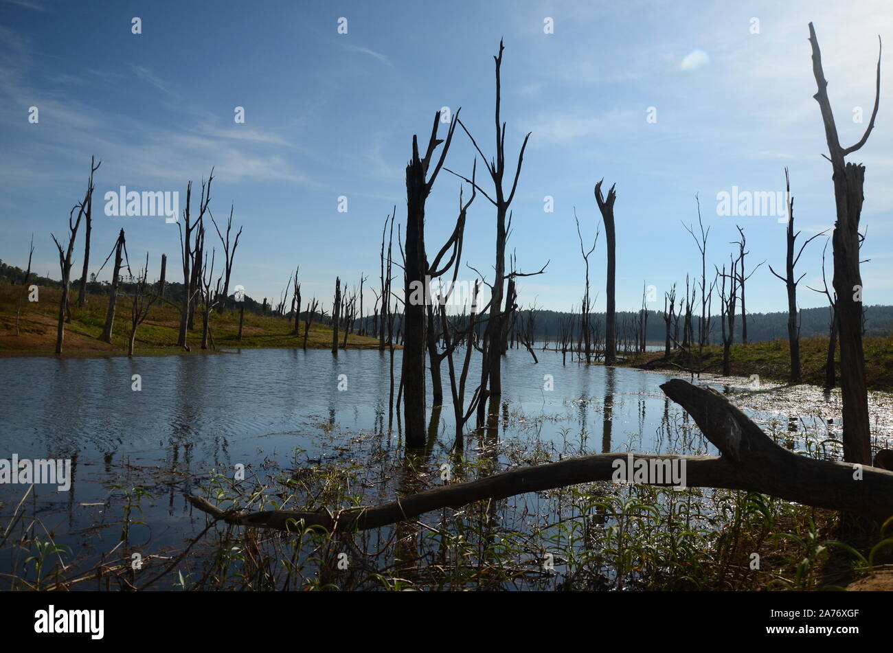 Cyclone warning system hi-res stock photography and images - Alamy