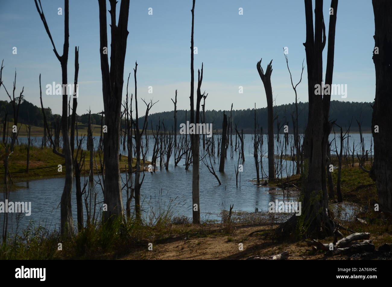 Disaster typhoon hi-res stock photography and images - Alamy