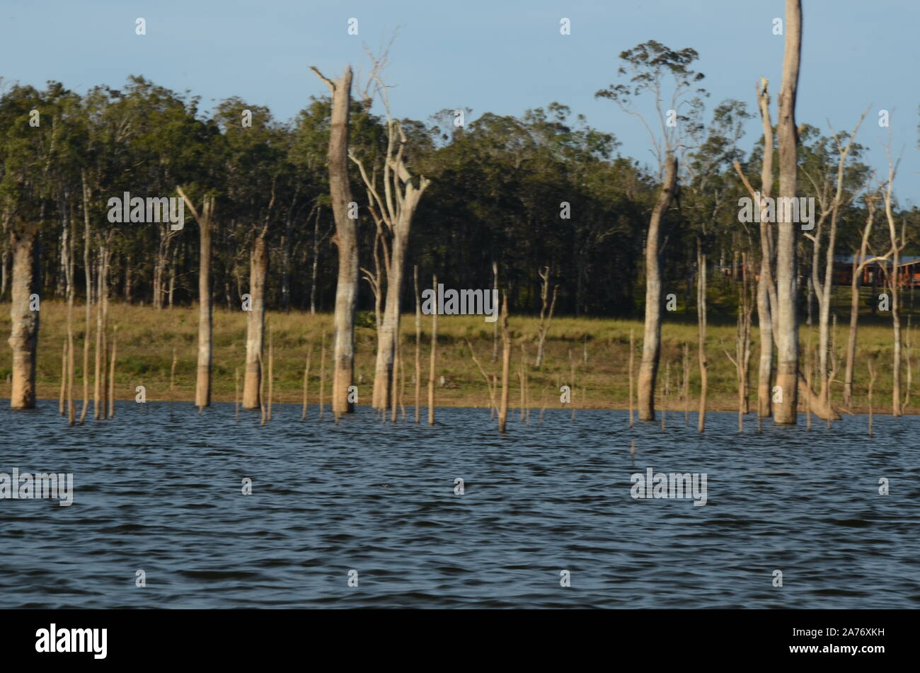 Disaster typhoon hi-res stock photography and images - Alamy