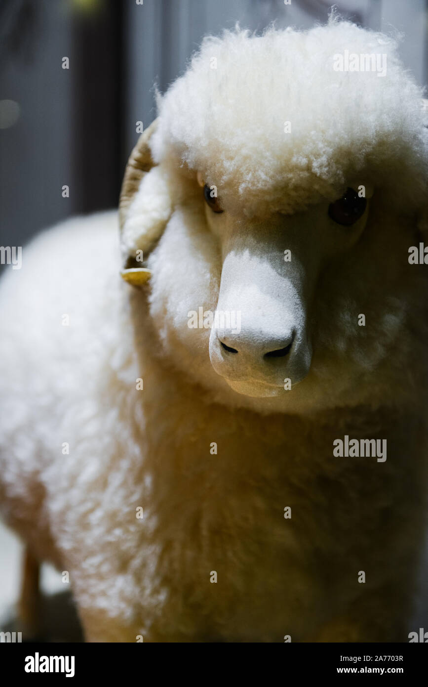 Plush Toy Sheep Stock Photo - Alamy
