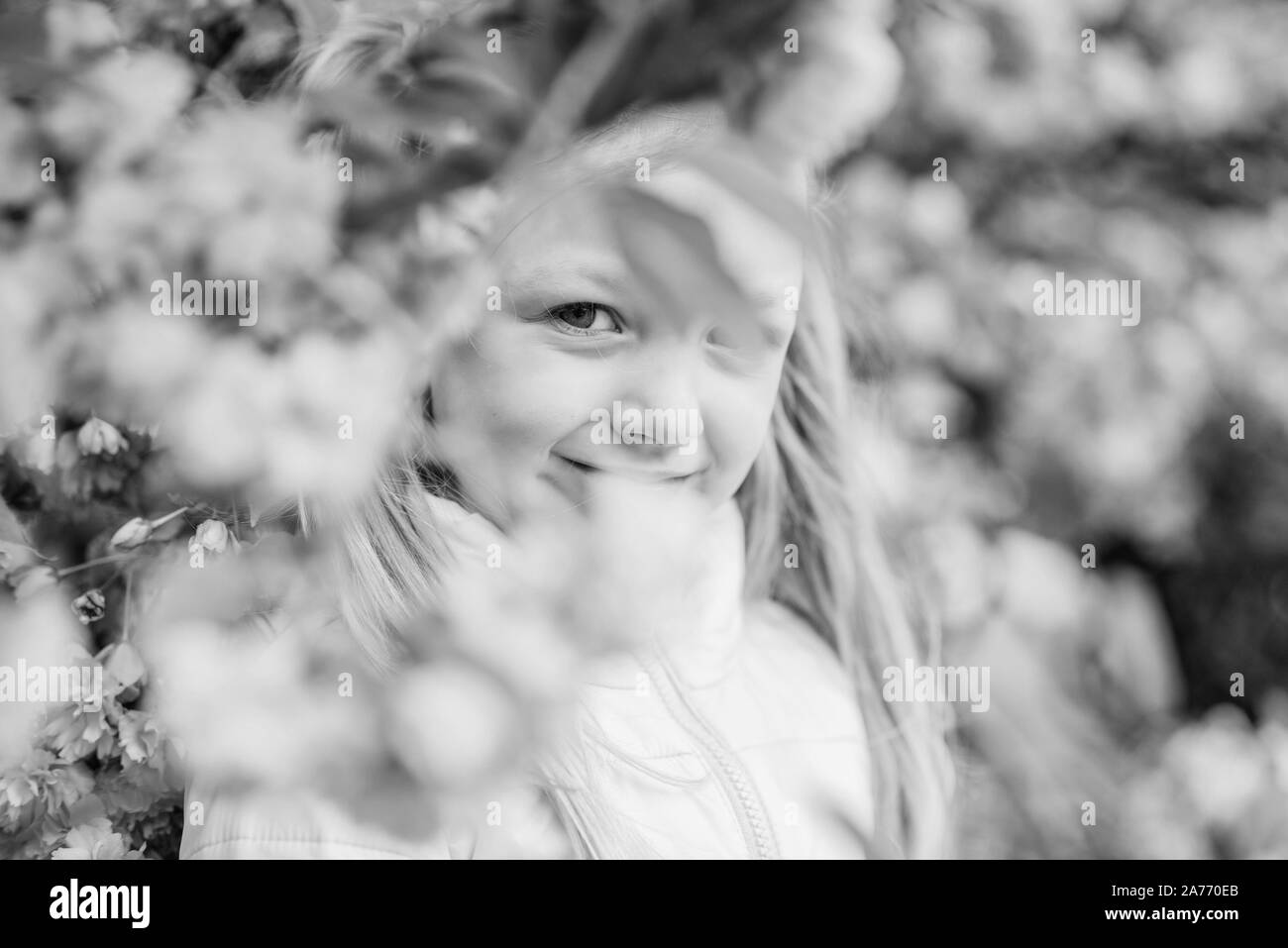 Allergy remedy. Pollen allergy concept. Get rid of seasonal allergy ...