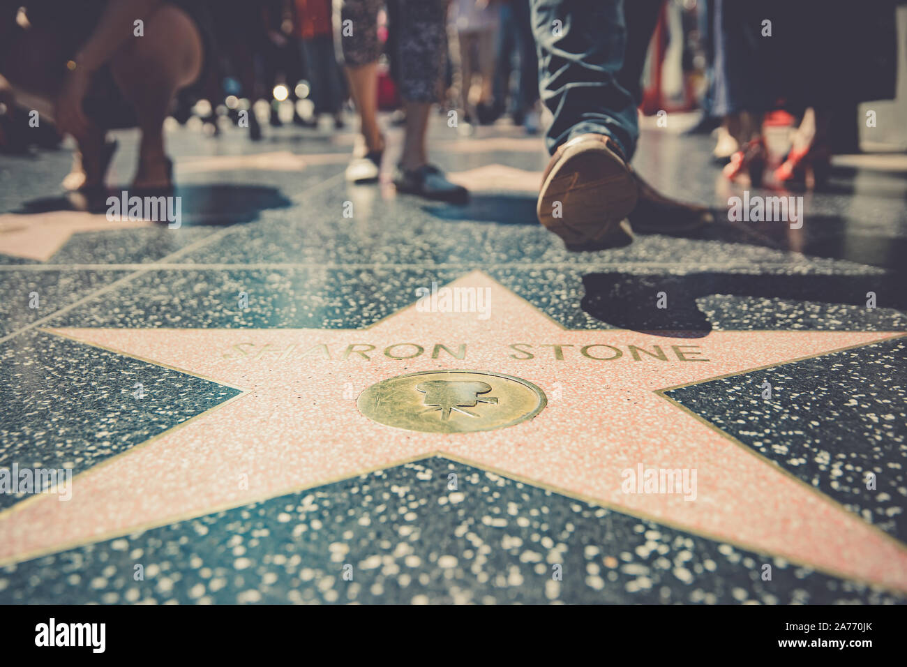 Star on the sidewalk of Hollywood Boulevard in Los Angeles during the ...