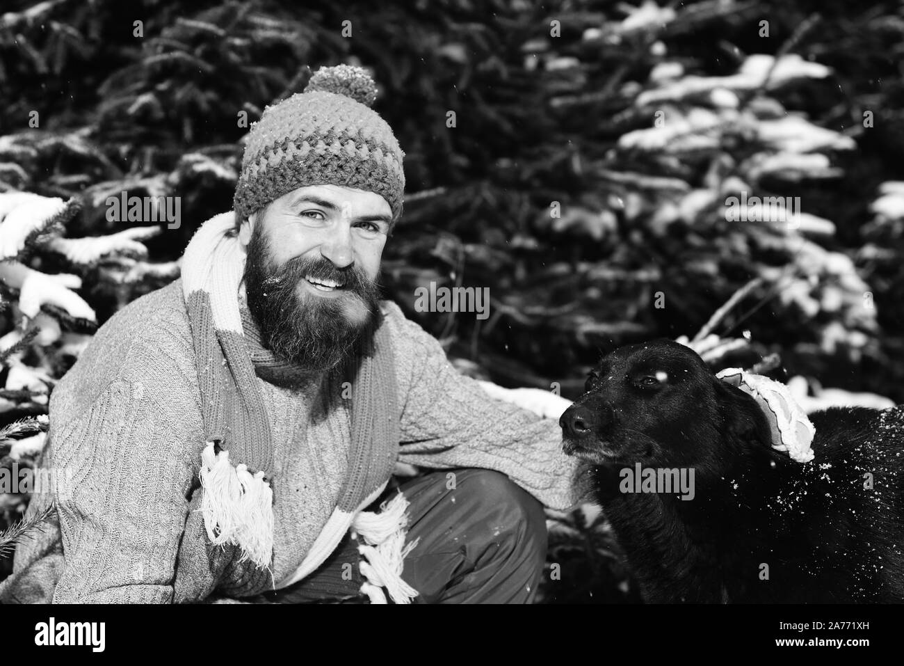 Macho with beard and mustache pats dog. Man in knitted hat and scarf ...