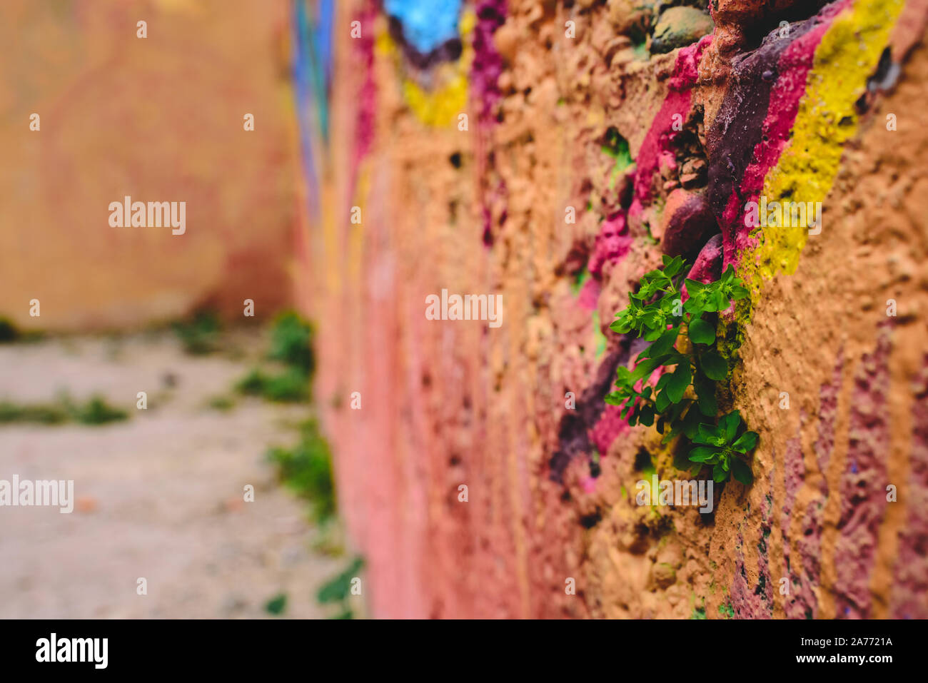 Detail of an anonymous street graffiti with many colors, cheerful urban ...