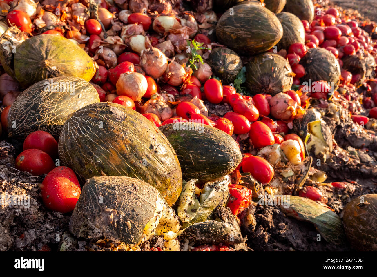 Rotten fruit and vegetables, farmers waste, unsustainable agriculture ...