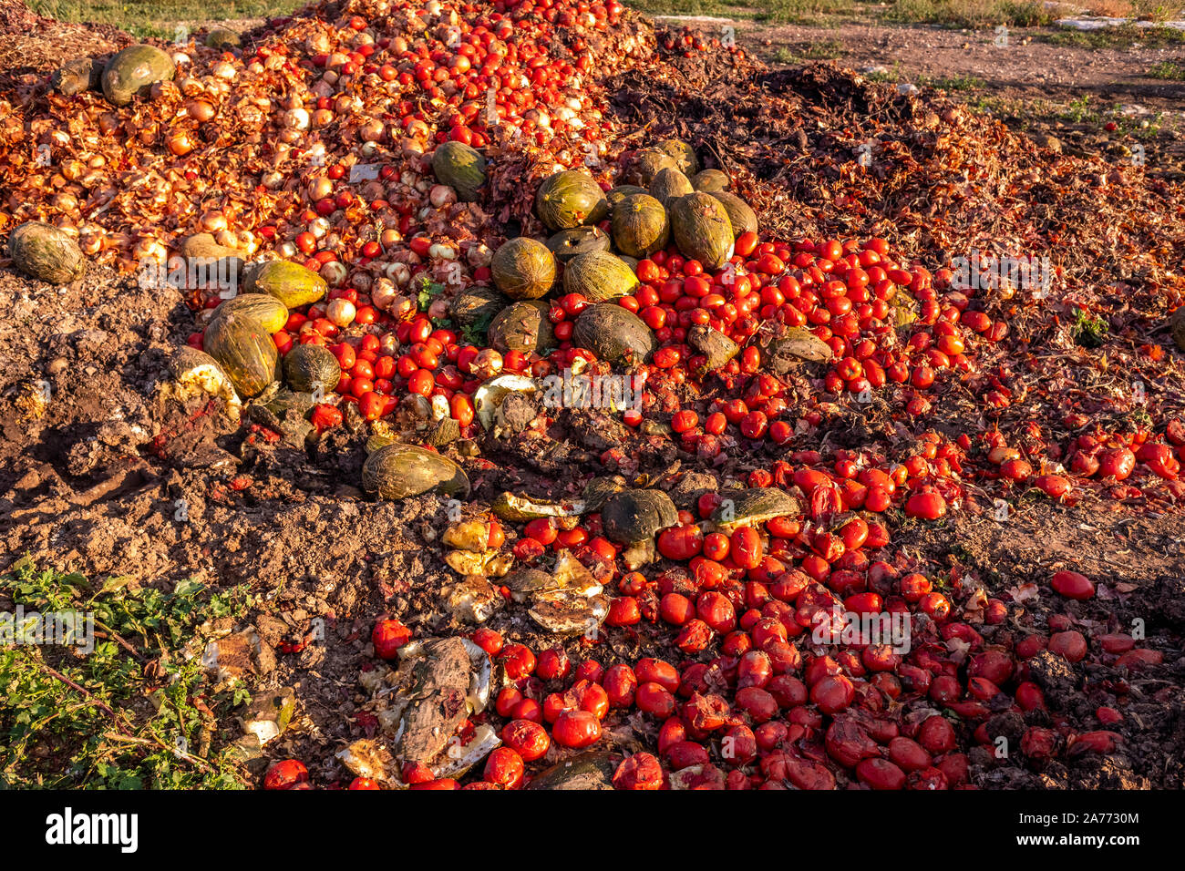 Vegetables thrown into a landfill, rotting outdoors Stock Photo - Alamy