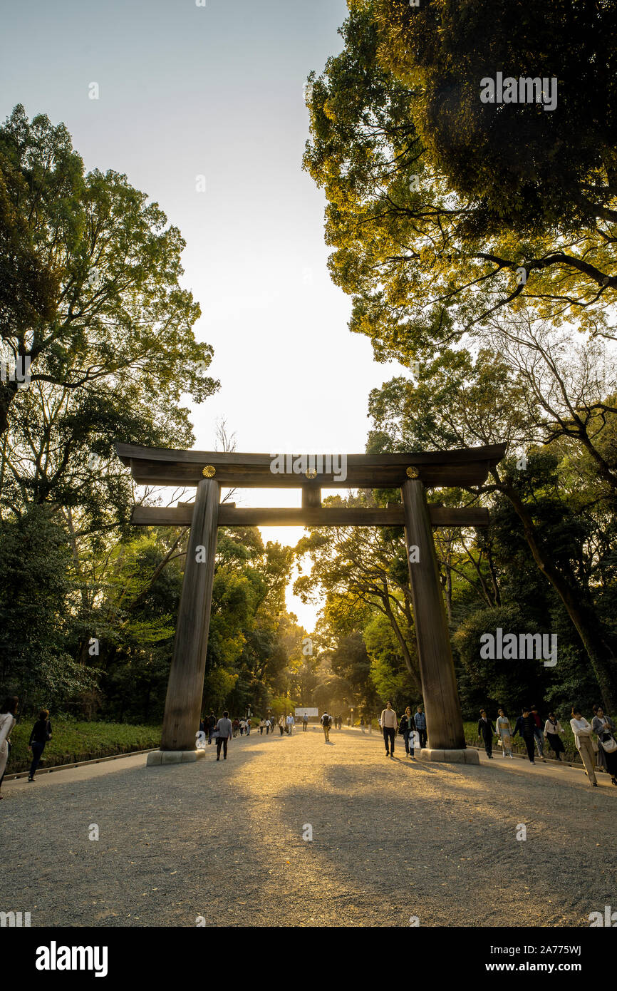 Torii gate in yoyogi hi-res stock photography and images - Alamy
