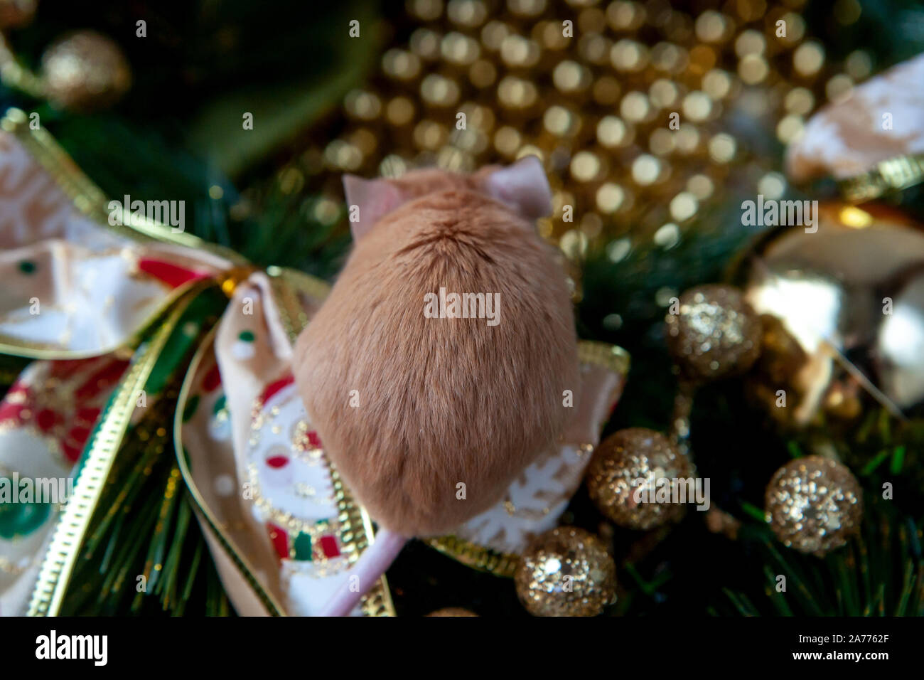 Mouse decorations hi-res stock photography and images - Alamy