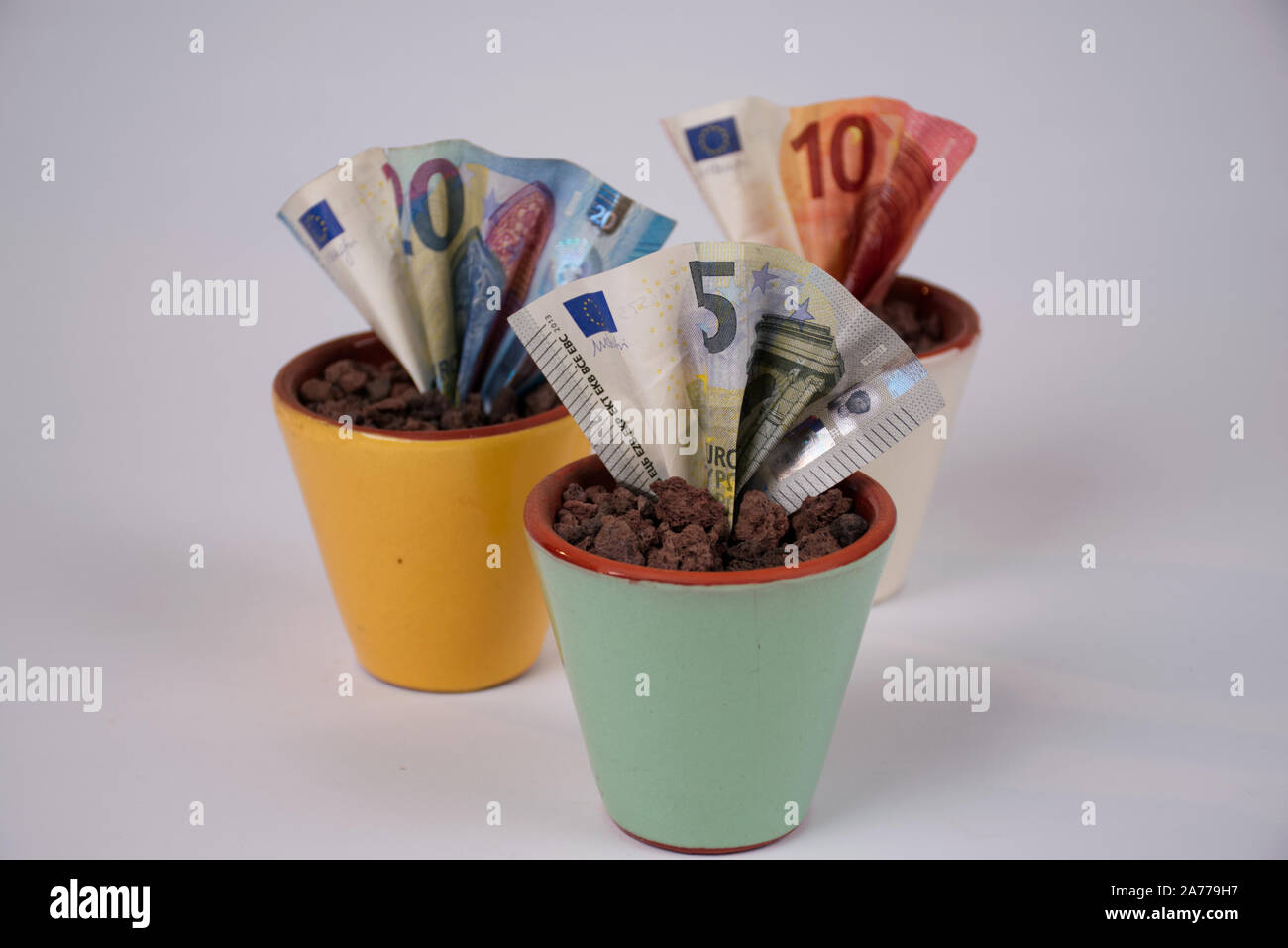 How to get rich quickly? Simpel: Plant some banknotes, Seriously ...
