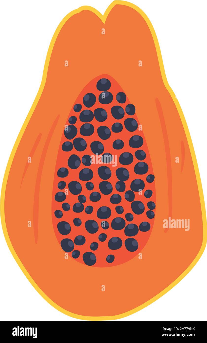 delicious papaya fruit on white background vector illustration design ...