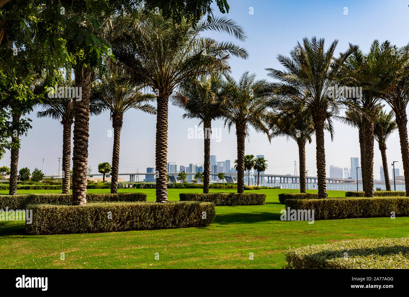 View of the date palm trees garden near the Louvre Abu Dhabi Museum and ...
