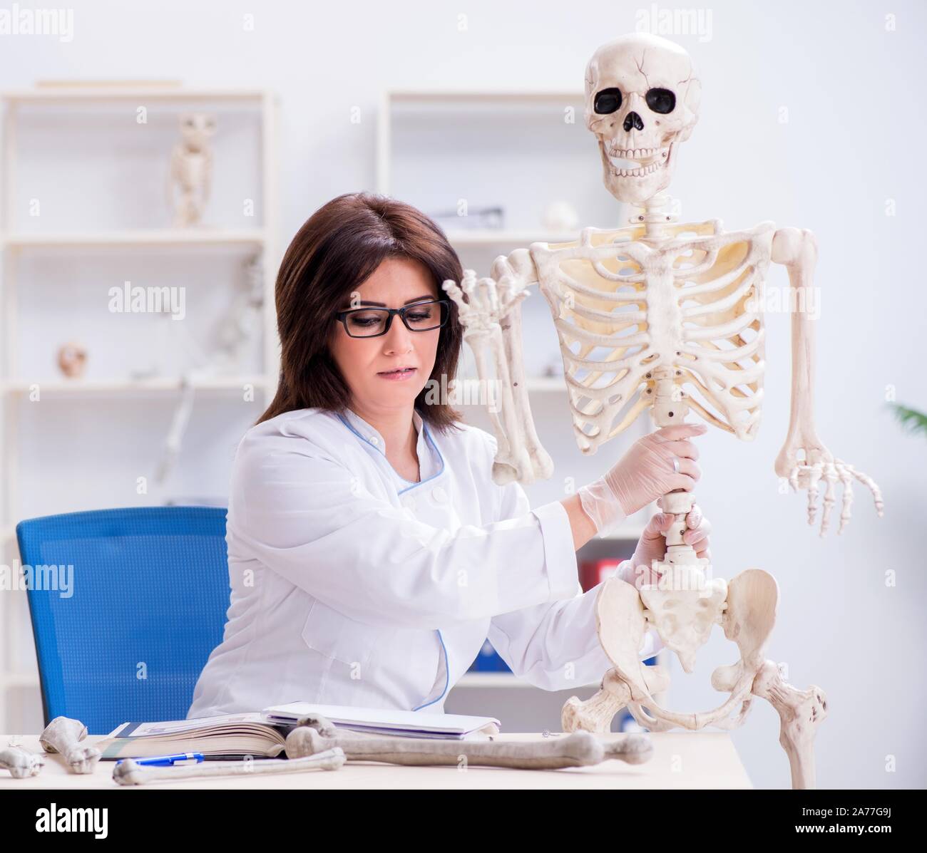 Lab anthropology skeleton hi-res stock photography and images - Alamy
