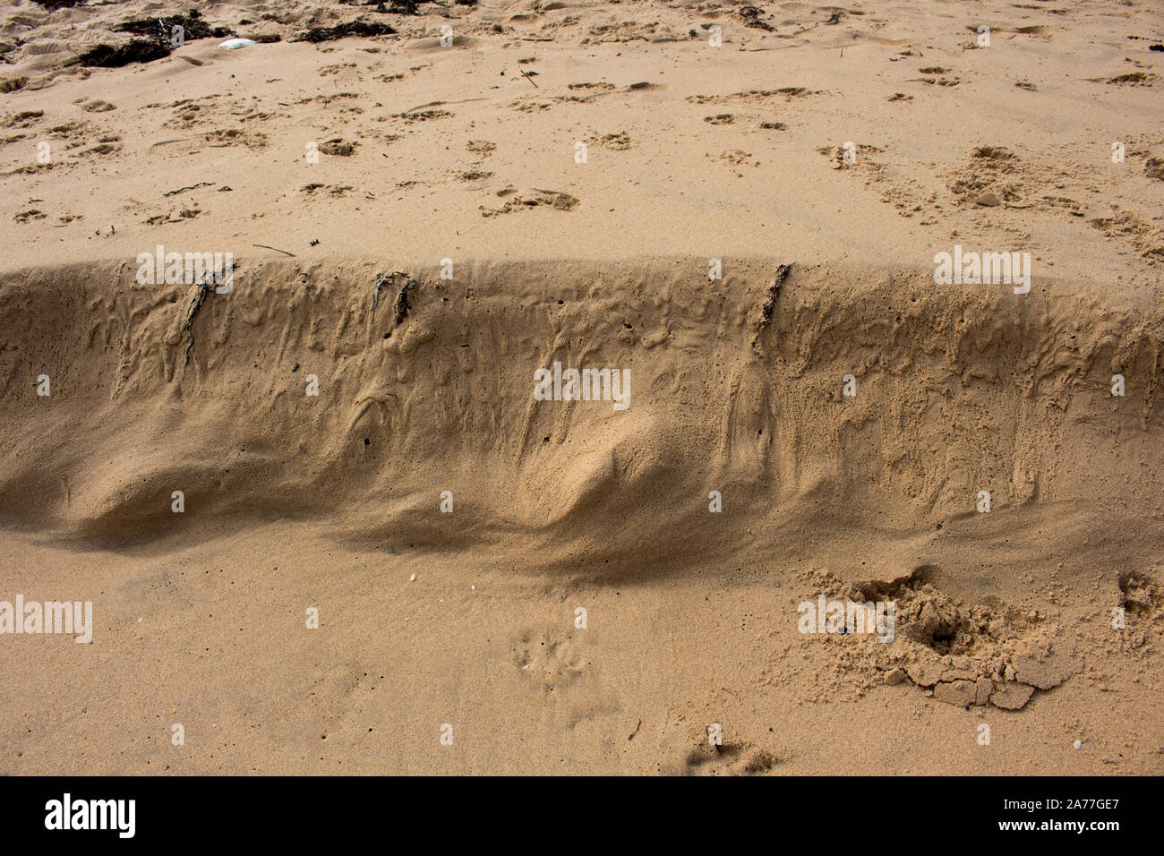 Sand patterns formations where Indian Ocean waves are lapping the sandy ...