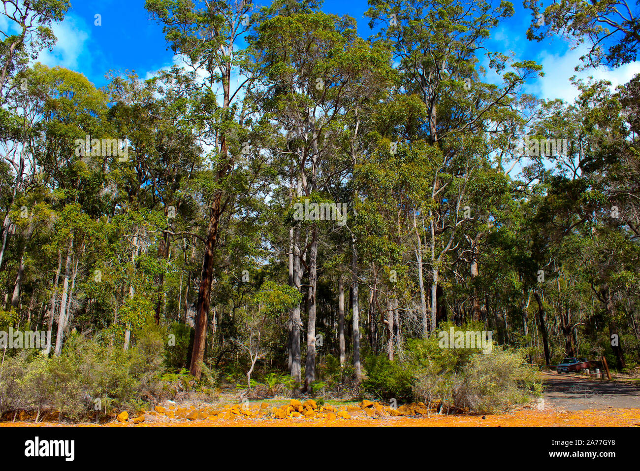 Scrubby ground hi-res stock photography and images - Alamy