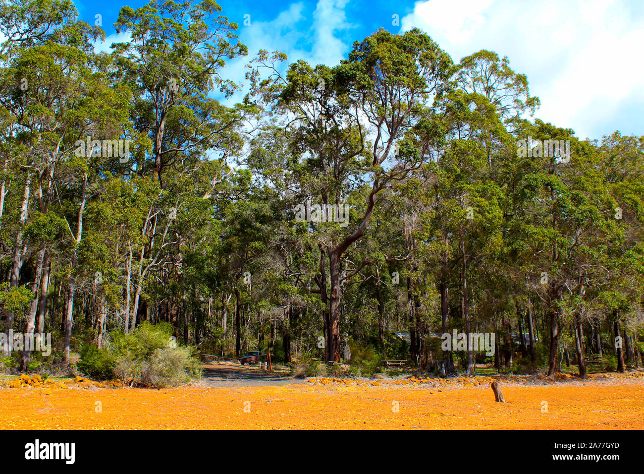 Scrubby ground hi-res stock photography and images - Alamy