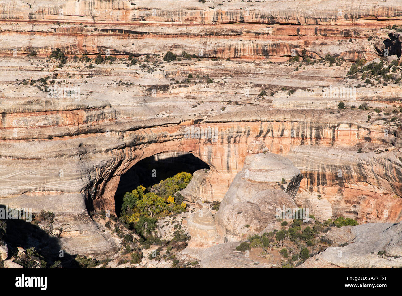 Blanding utah hi-res stock photography and images - Alamy