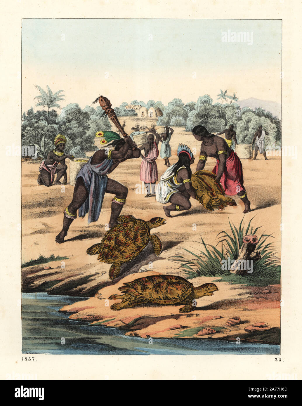 Native American Turtle Earth
