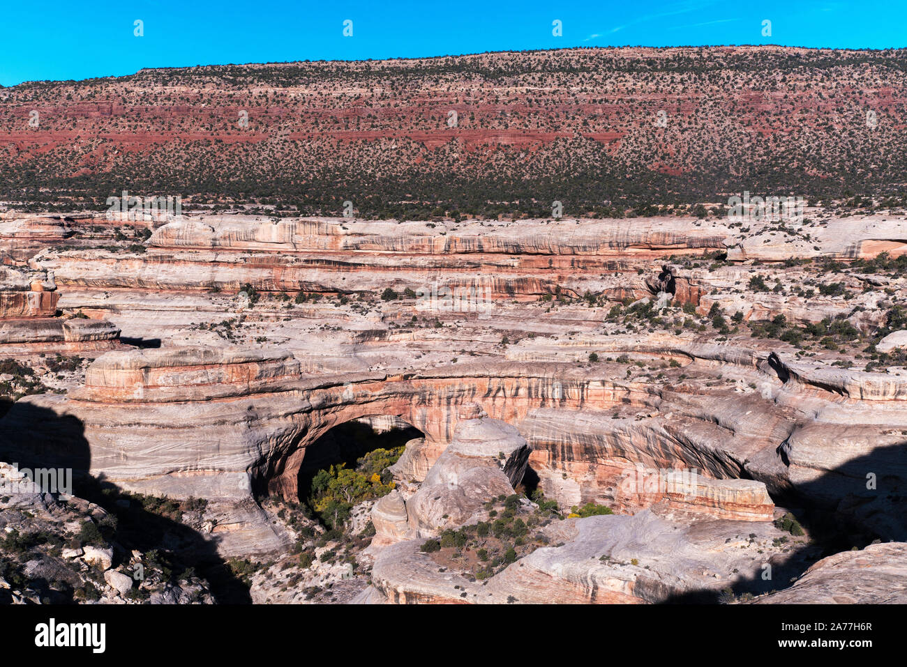 Sipapu bridge spring hi-res stock photography and images - Alamy