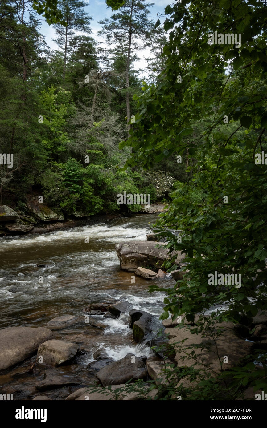 North Carolina stream Stock Photo - Alamy