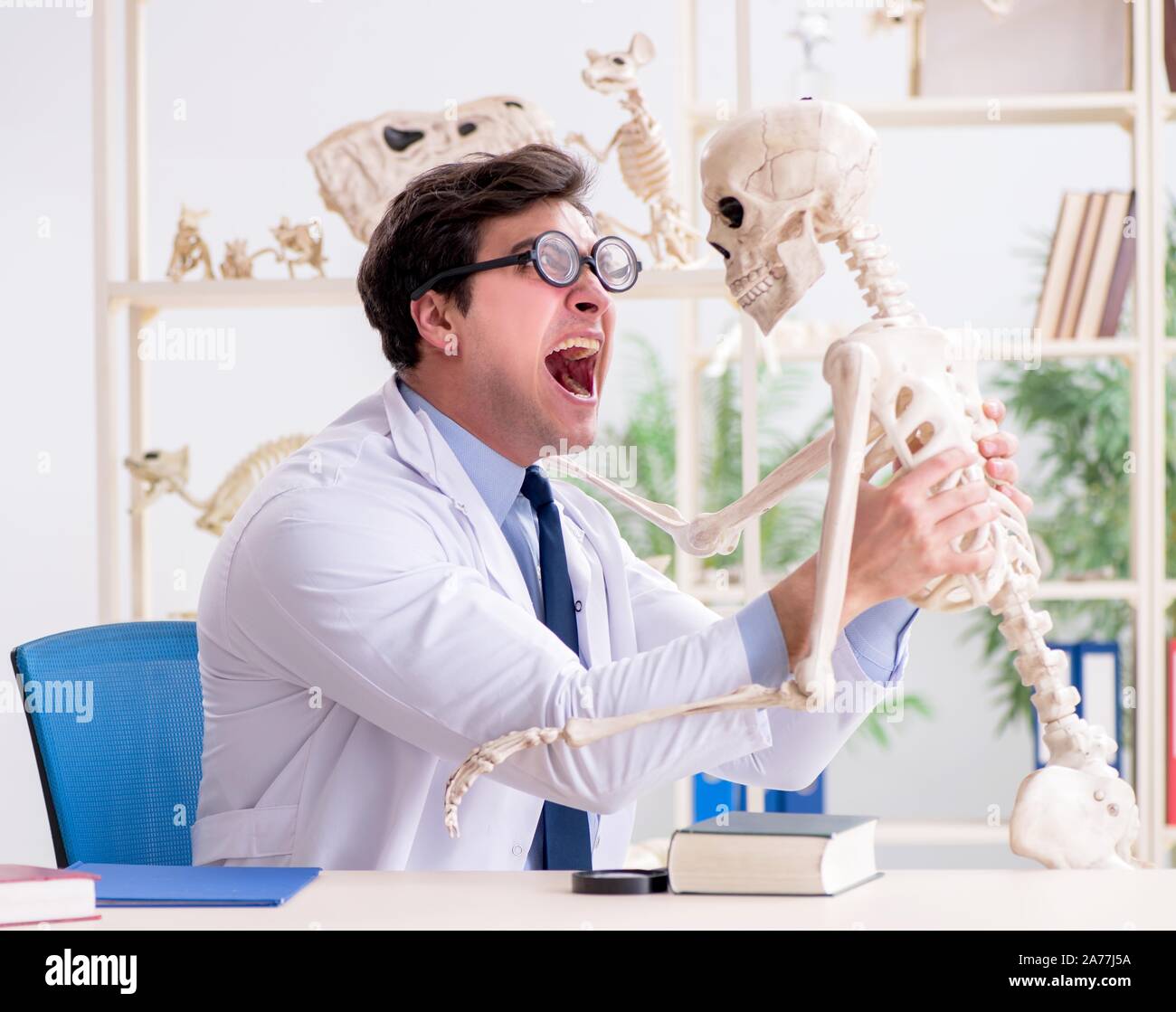 The crazy professor studying human skeleton Stock Photo - Alamy