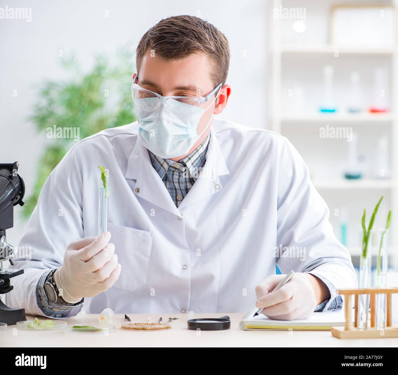 The male biochemist working in the lab on plants Stock Photo - Alamy