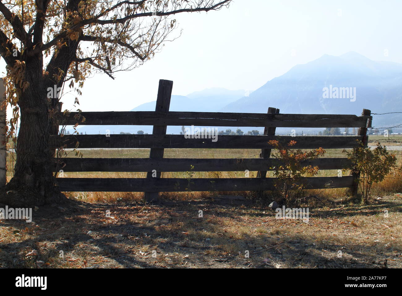 Old Ranch Fence Stock Photo - Alamy