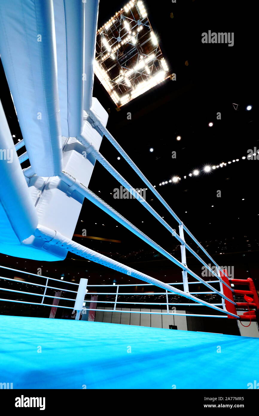 Tokyo, Japan. 31st Oct, 2019. General view Boxing : READY STEADY TOKYO ...