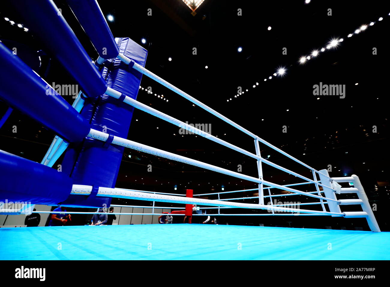 Tokyo, Japan. 31st Oct, 2019. General view Boxing : READY STEADY TOKYO ...