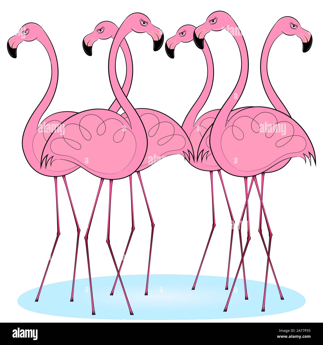 Flamingoes in group cute vector illustration on a white background ...