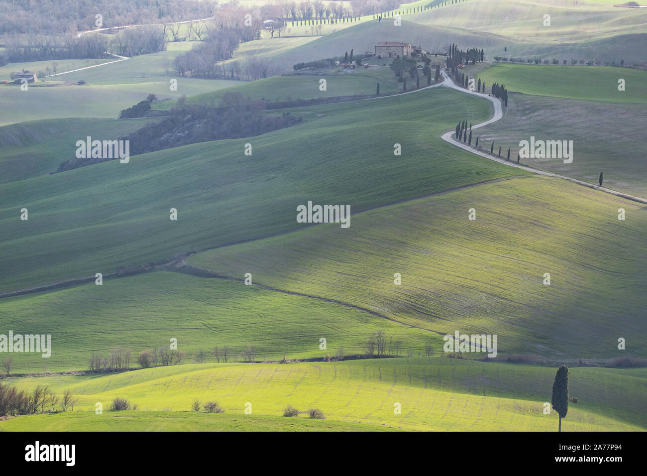 Green Tuscany fields landscape in Italy, famous nature landmarks Stock ...