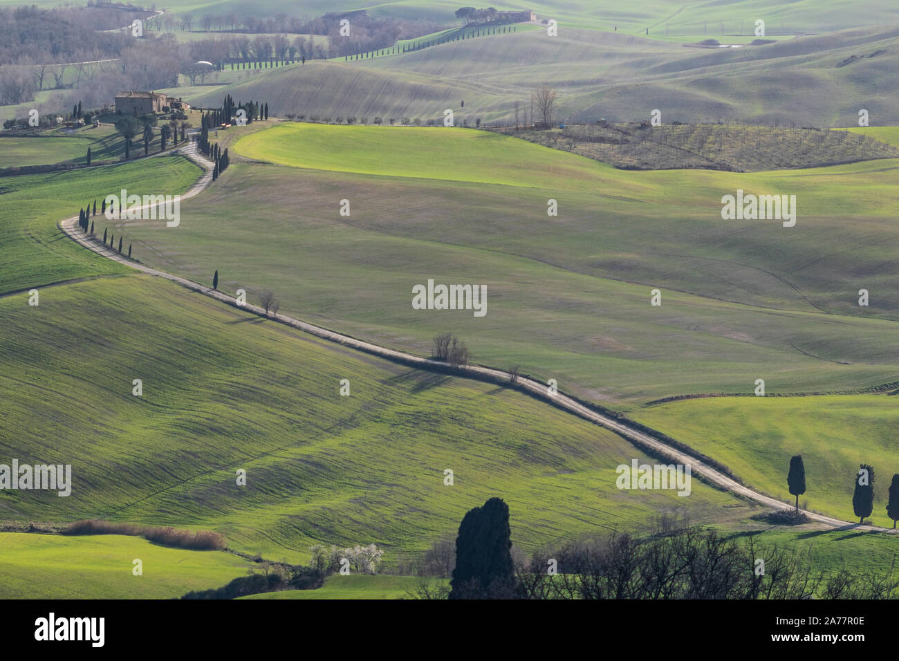 Green fields on a rural landscape in Tuscany, Italy Stock Photo - Alamy