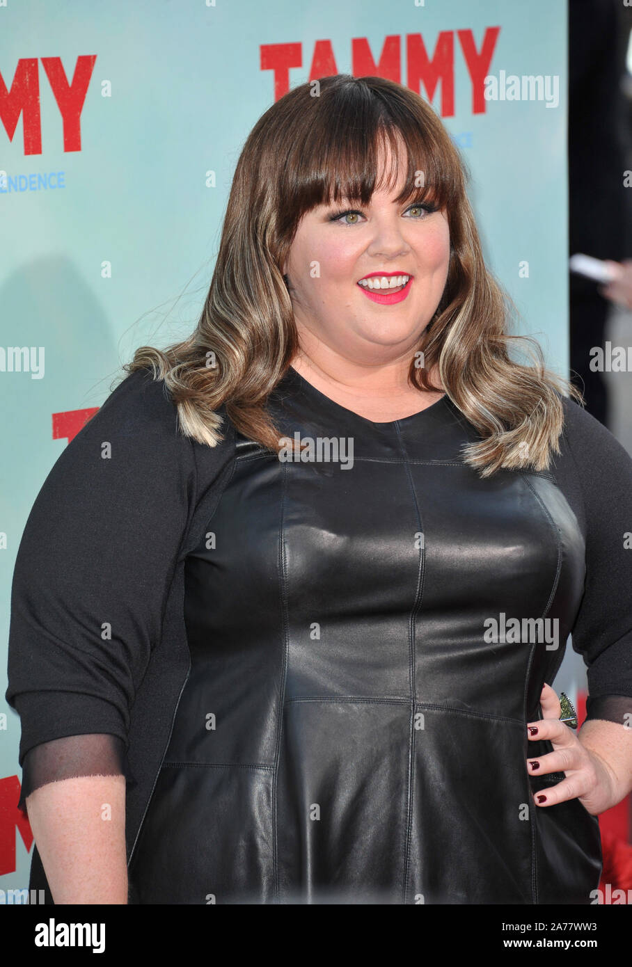 LOS ANGELES, CA - JUNE 30, 2014: Melissa McCarthy at the premiere of ...