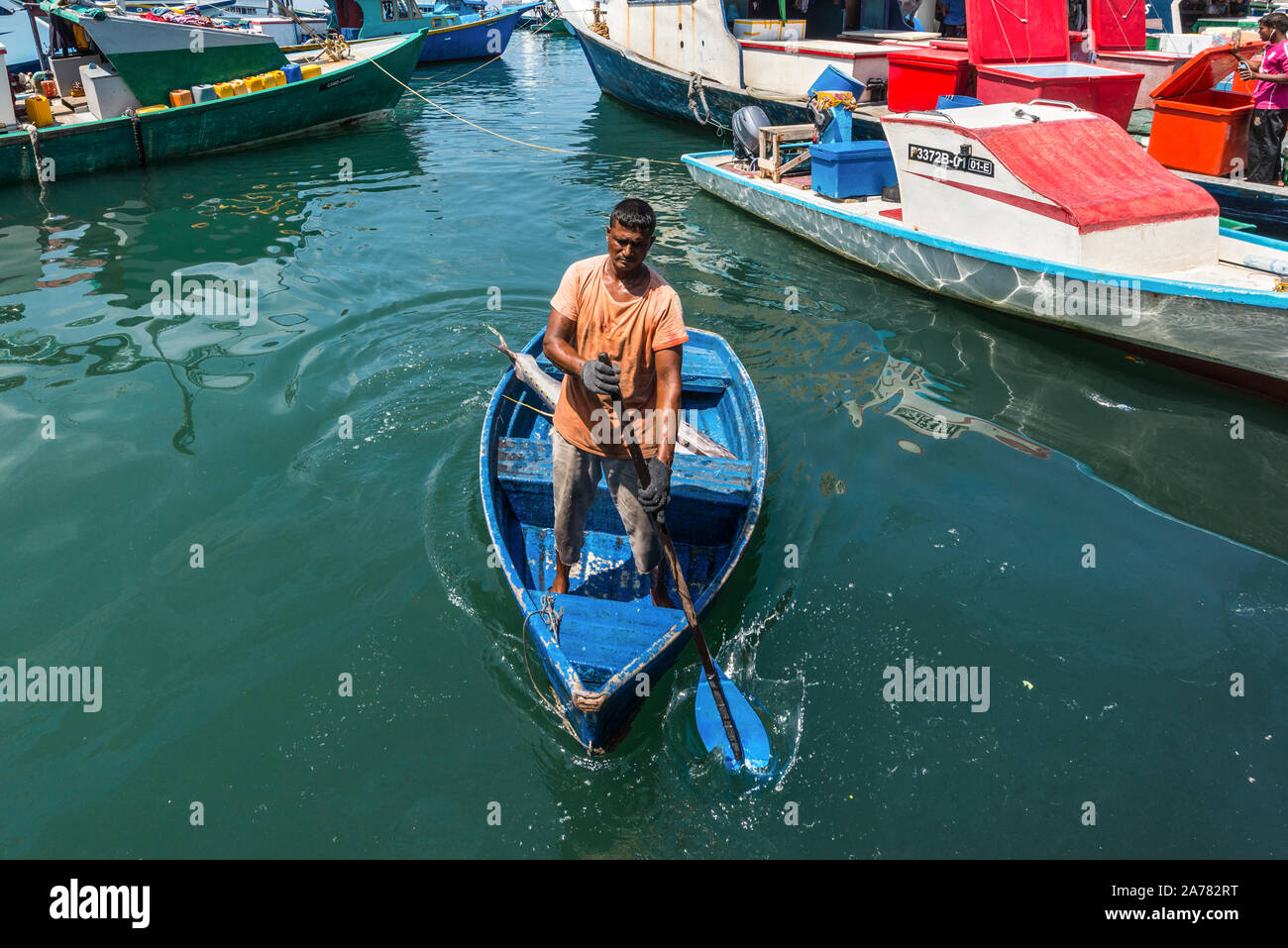 Large fish rowing boat hi-res stock photography and images - Alamy