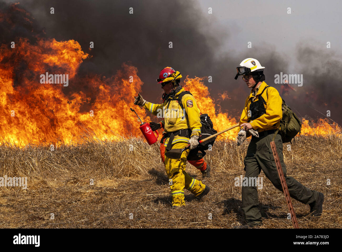 Library los angeles and fire hi-res stock photography and images - Alamy