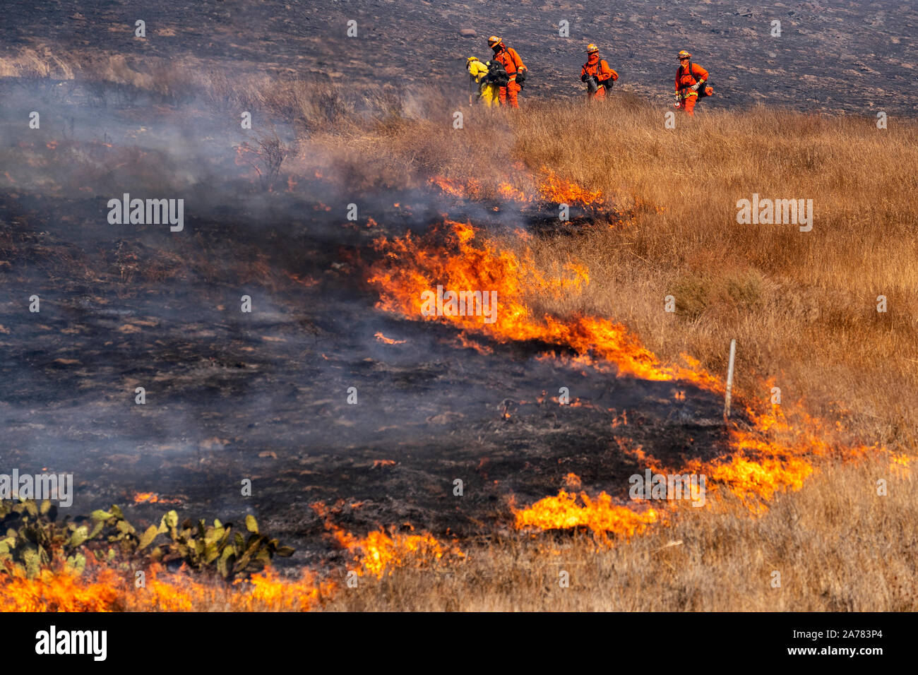 Library los angeles and fire hi-res stock photography and images - Alamy