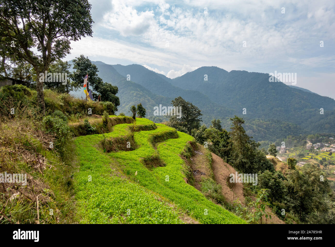 Green terraces hi-res stock photography and images - Alamy