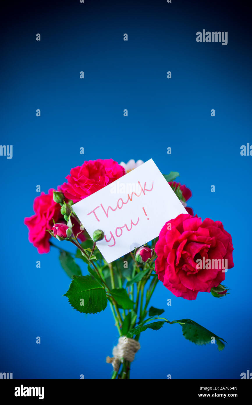 bouquet of beautiful red roses on a blue Stock Photo - Alamy