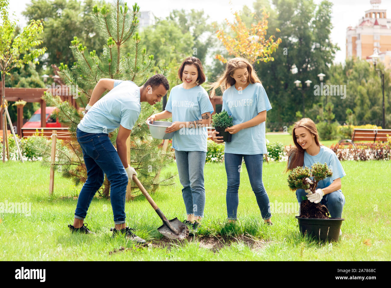 Volunteering. Young people volunteers outdoors planting together ...