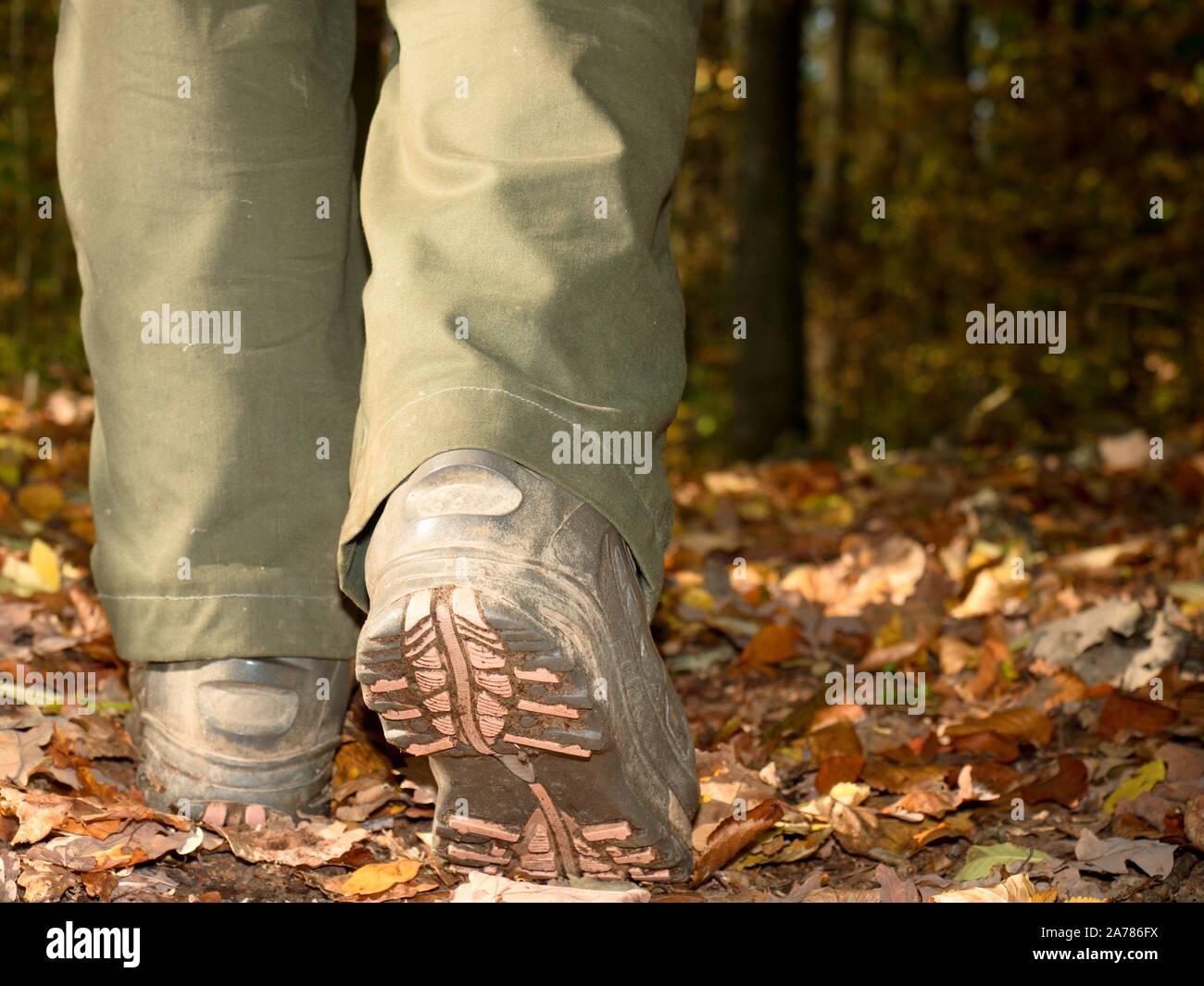 Autumn forest, fall season scene. Woman legs in high leather shoes or ...