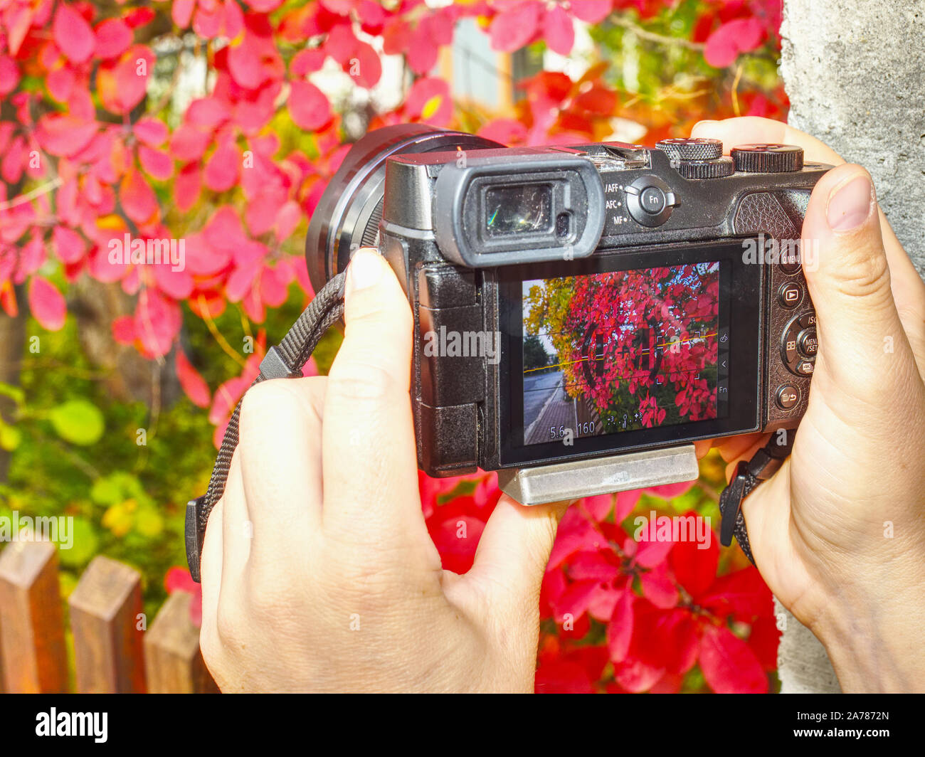 Detail of modern mirrorless camera with professional lens taking photos ...