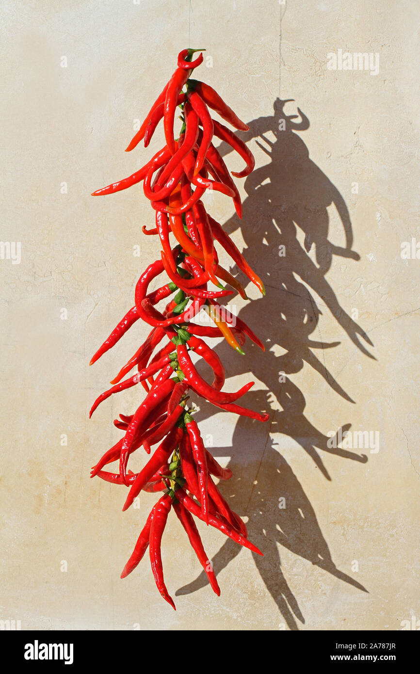 Variety ruth hi-res stock photography and images - Alamy