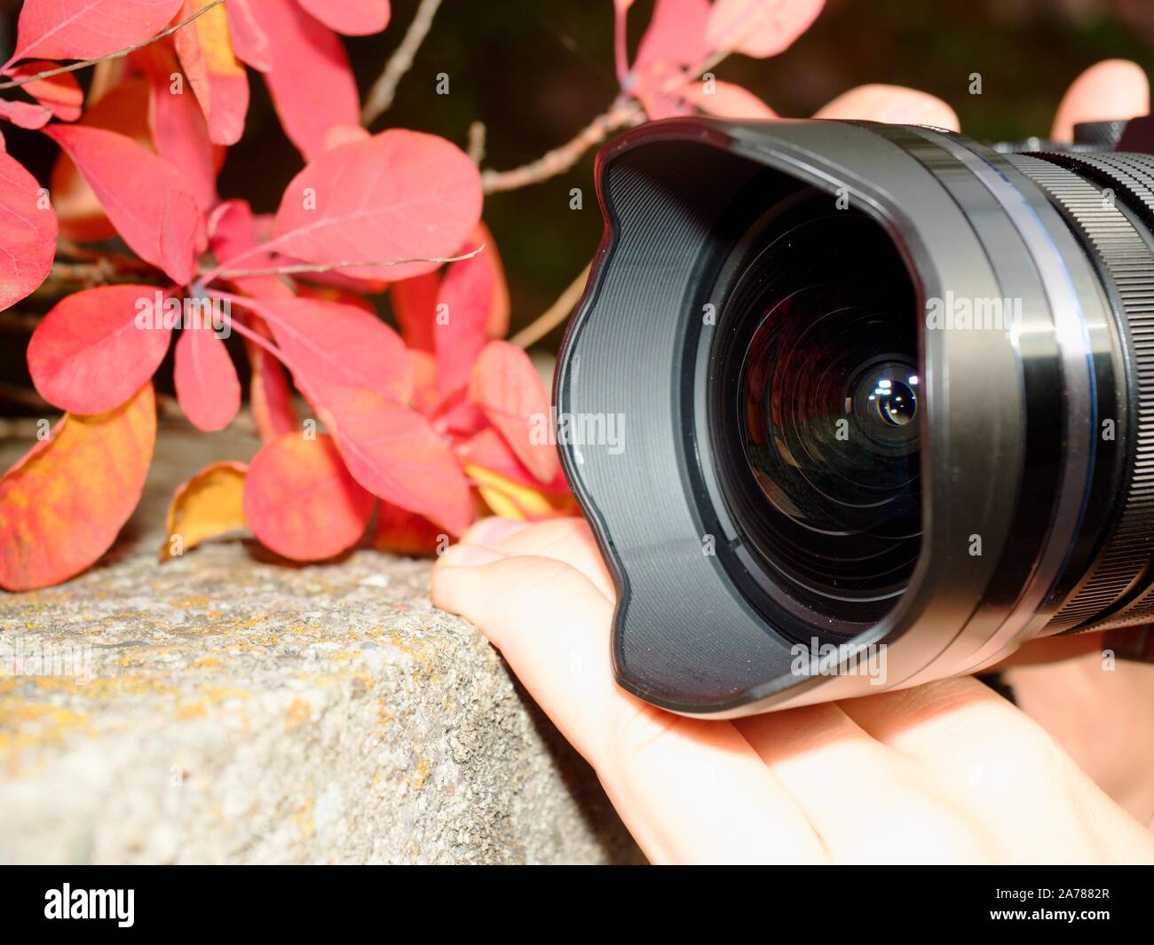 Artist using small mirrorless camera with wide zoom lens. Process of ...