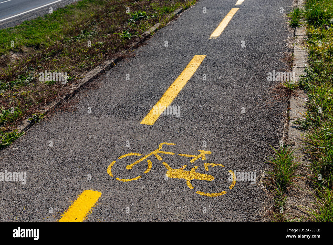 Bicycle sign on the road, asphalt surface cycle zone Stock Photo - Alamy