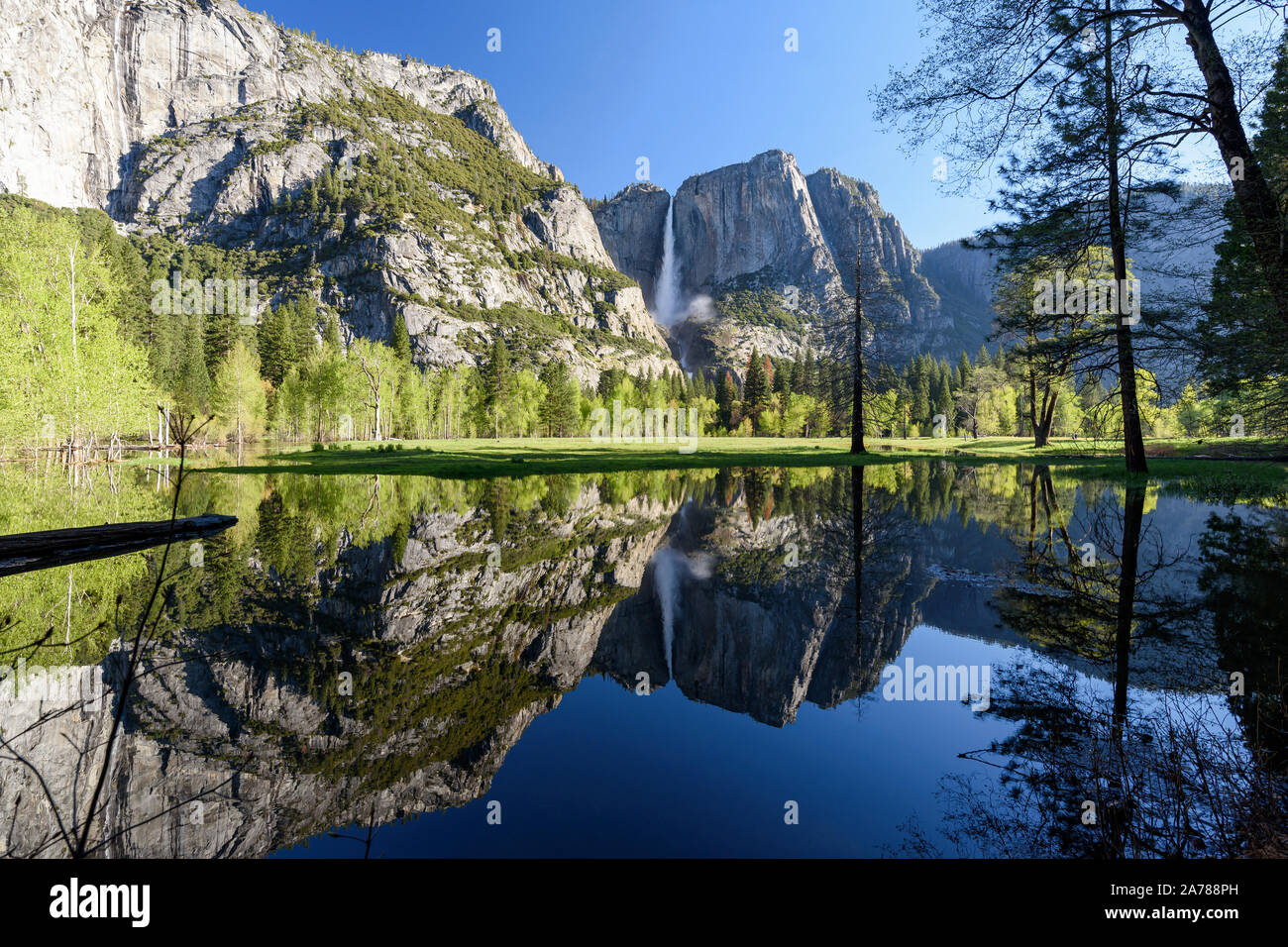 Yosemite Falls and valley reflecting in merced river (Yosemite National ... Yosemite Falls and valley reflecting in merced river (Yosemite National ...