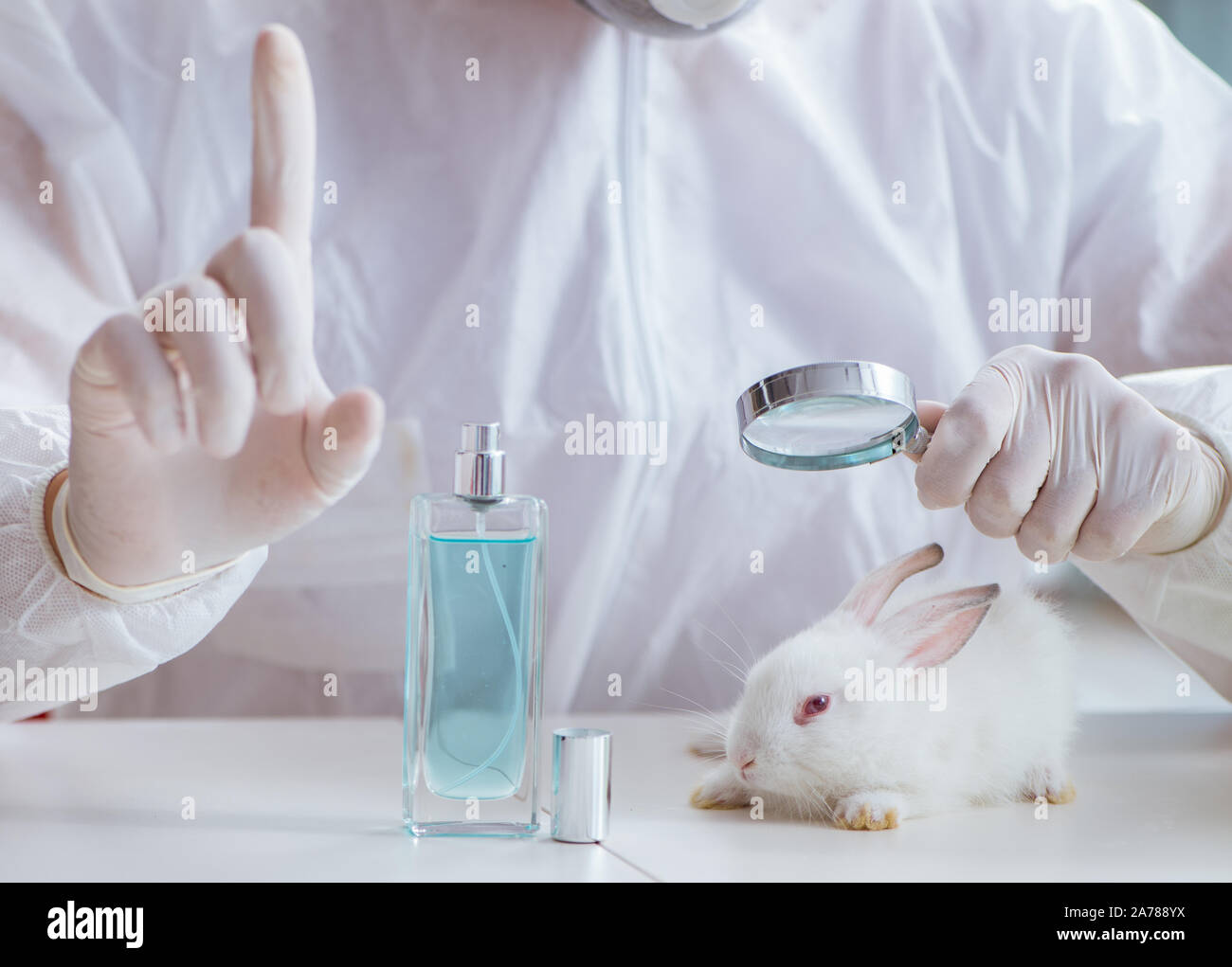The white rabbit in scientific lab experiment Stock Photo - Alamy