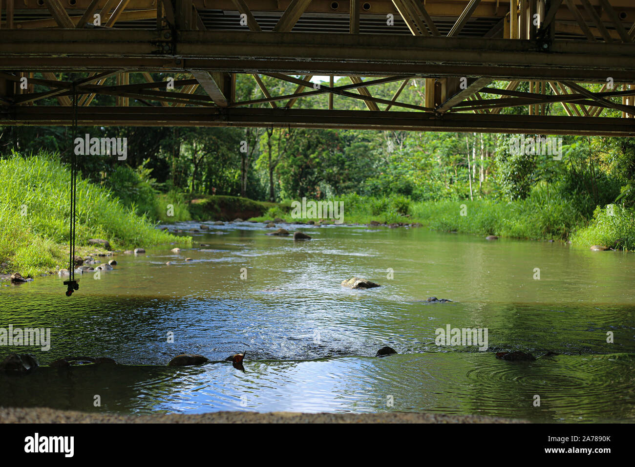 Lihue hawaii hi-res stock photography and images - Alamy