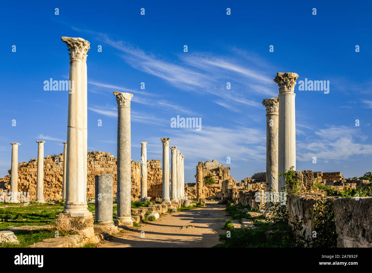 Rows of ancient columns at Salamis, Greek and Roman archaeological site ...