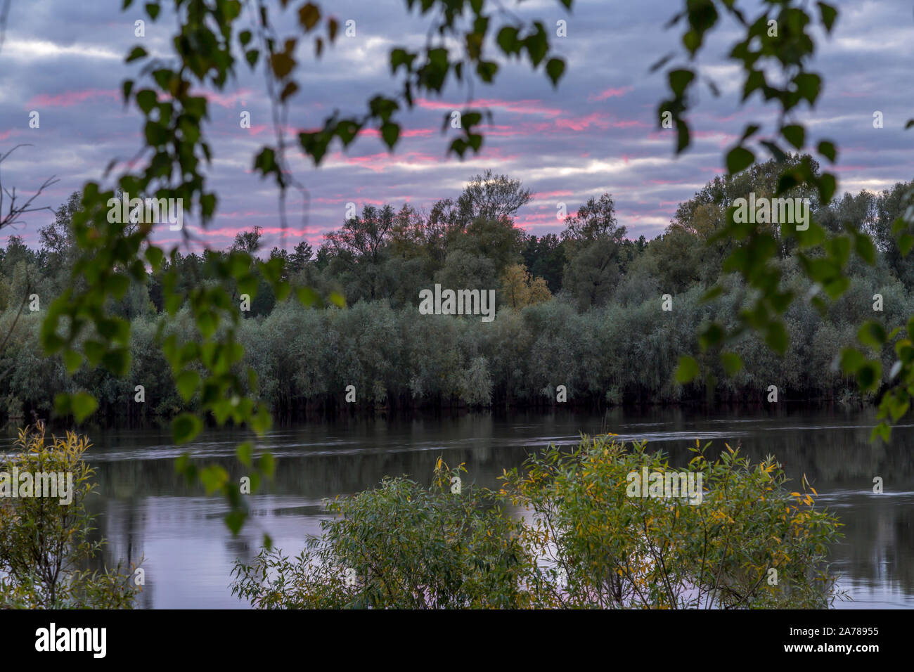 Dense Shrubs High Resolution Stock Photography and Images - Alamy